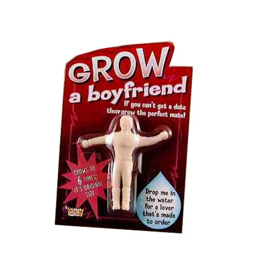 Grow a Boyfriend Novelty Prop Gag Gift | Costume Super Centre