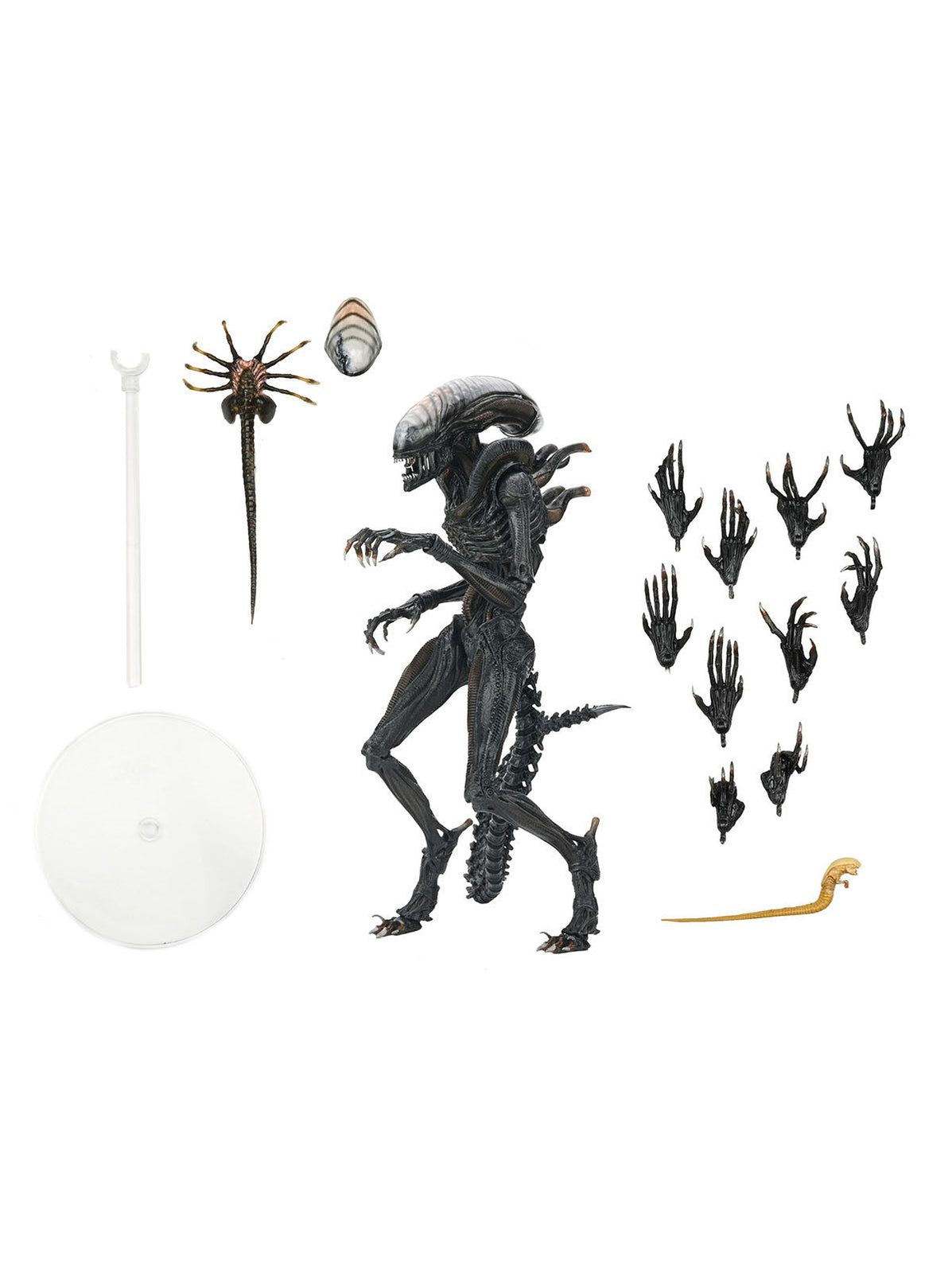 Alien Romulus Scorched Xenomorph 7" Scale Action Figure NECA | Costume ...
